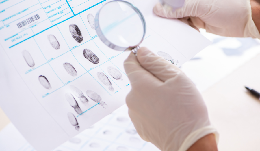 Unveiling Digital Forensics Techniques In Government Fraud Investigations